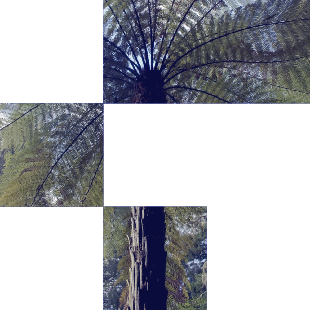 Community — Connexa