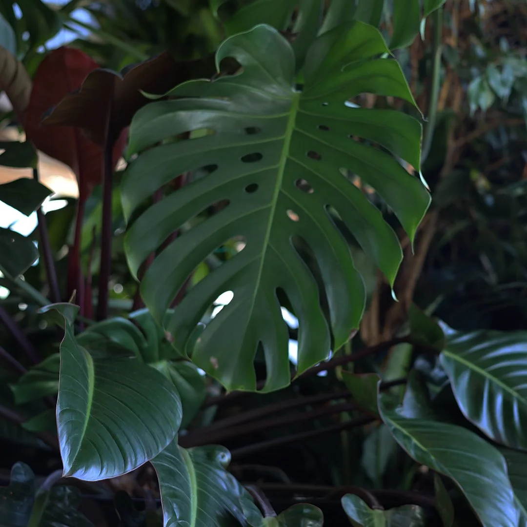 Team - construction cost & contract services — MERSA