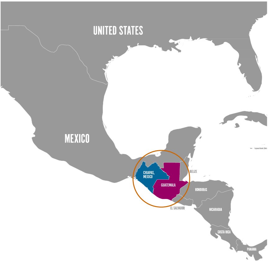 Our Partners — Natik