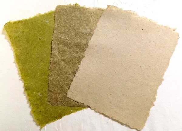 Papermaking in Detroit: The Invasive Paper Project by Megan Heeres ...