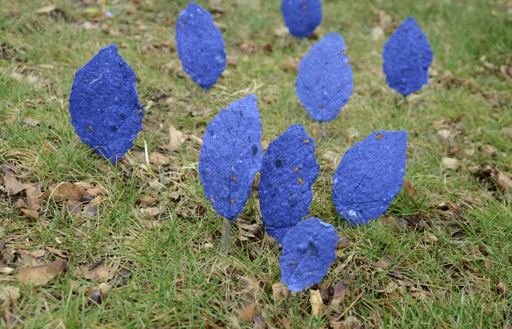 Pulp Cast Leaf Project — Paperslurry