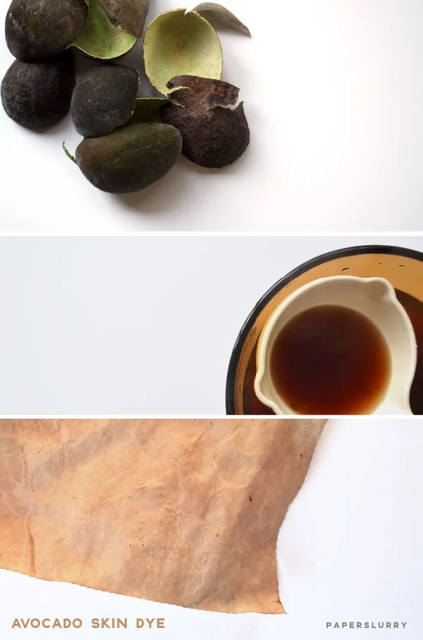 From Your Kitchen to Your Studio: At Home Botanical Dyes — Paperslurry