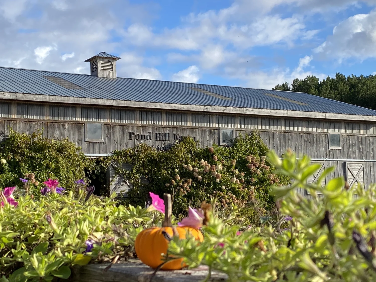 Plan Your Visit to Harbor Springs, MI - Pond Hill Farm
