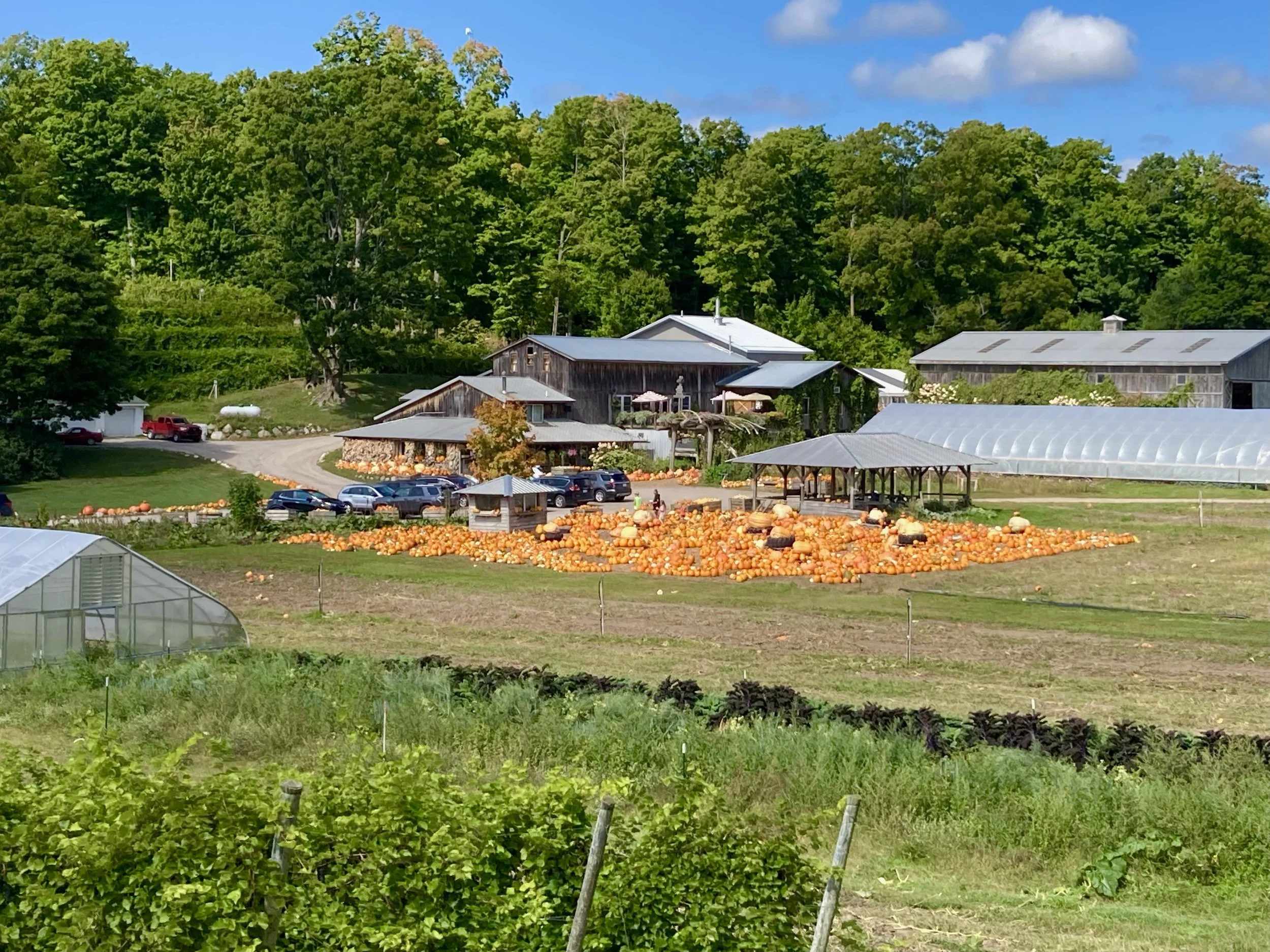 Activities for Kids in Harbor Springs, MI - Pond Hill Farm