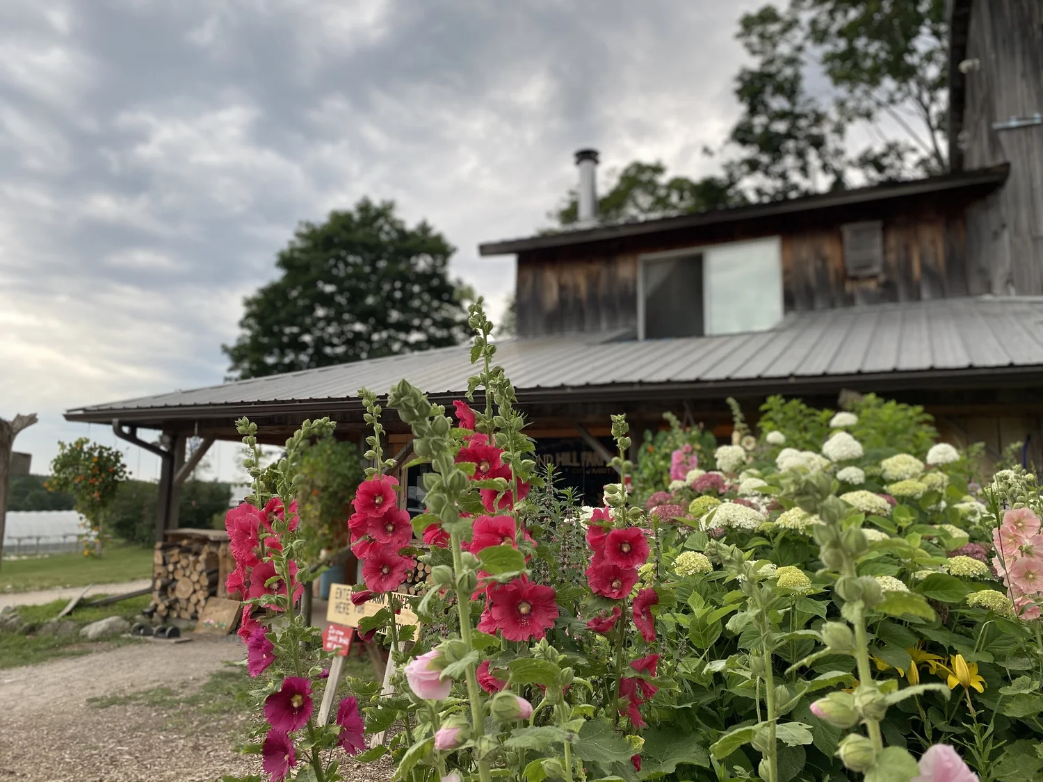 Frequently Asked Questions - Pond Hill Farm