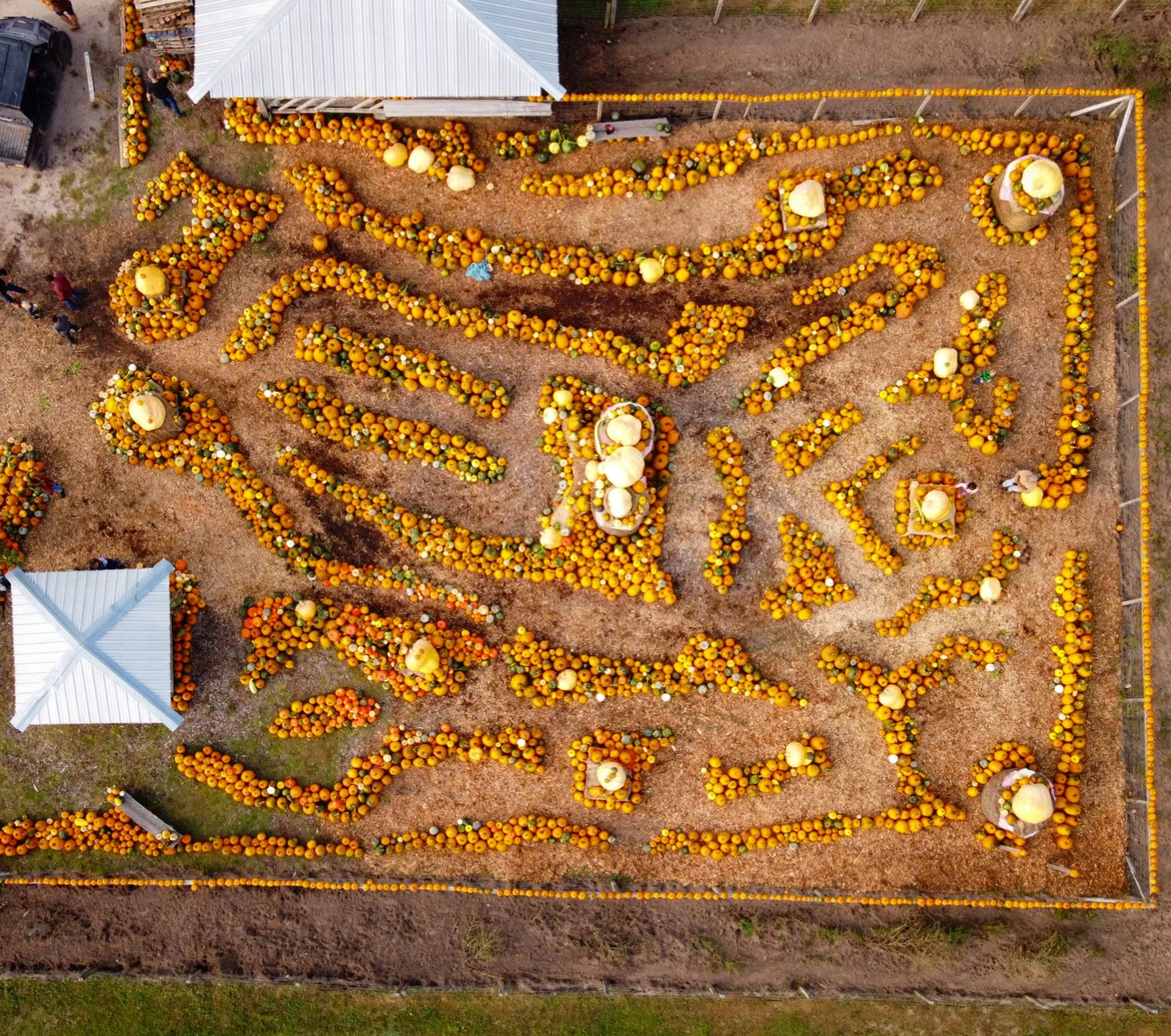 Live Entertainment in Harbor Springs, MI - Pond Hill Farm