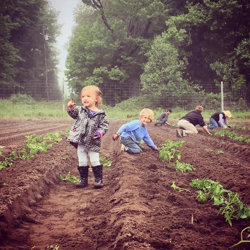 About Our Harbor Springs Farm & Winery - Pond Hill Farm
