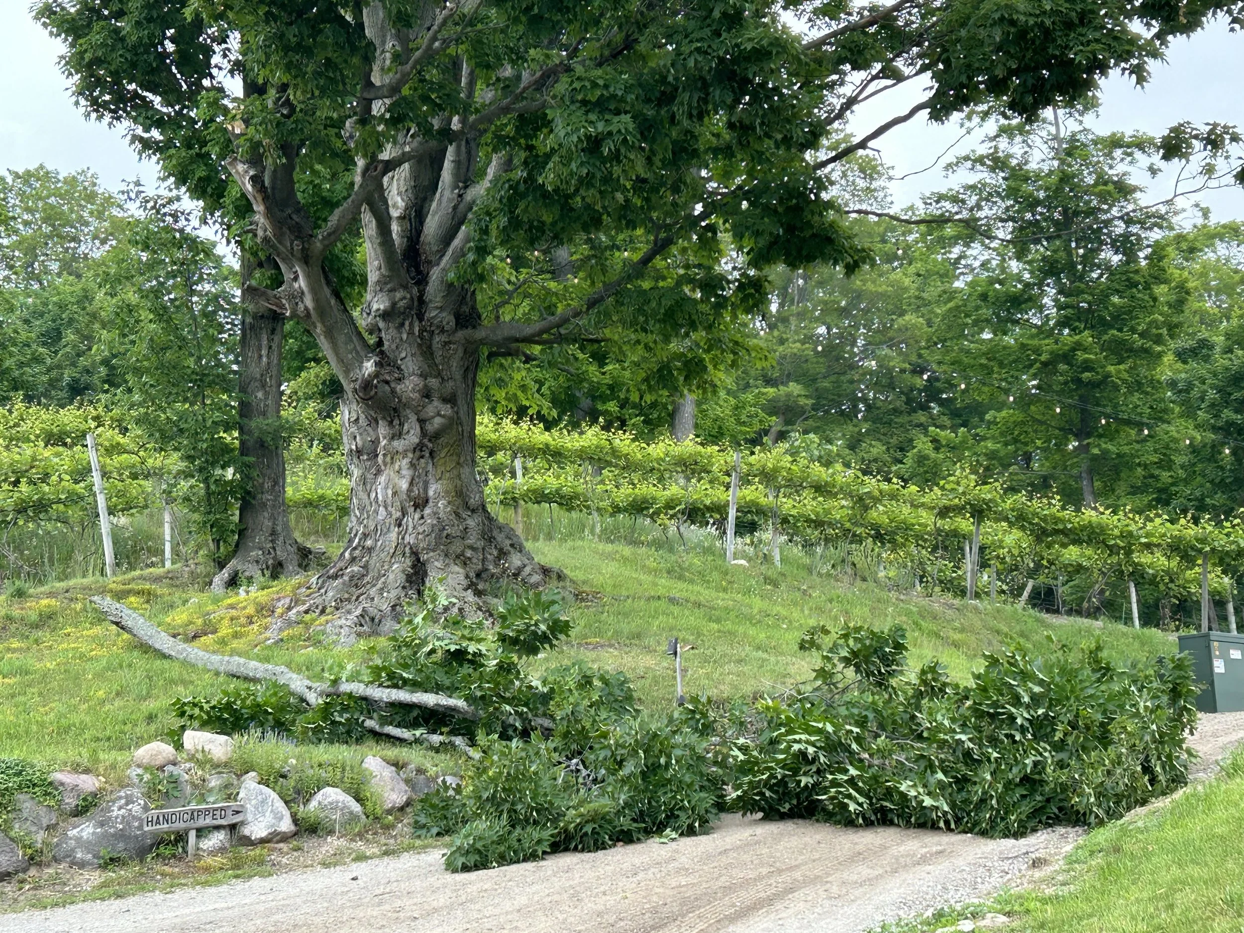 Hours & Directions to Pond Hill Farm - Pond Hill Farm