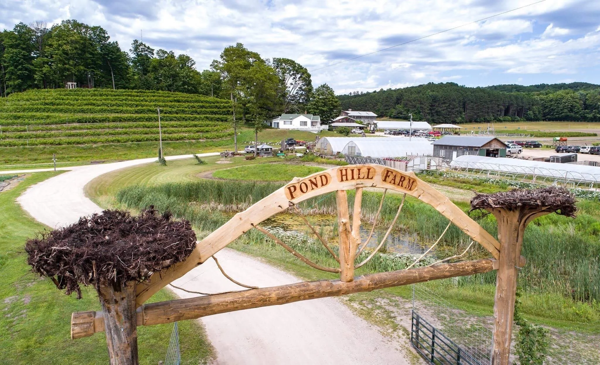 Hours & Directions to Pond Hill Farm - Pond Hill Farm