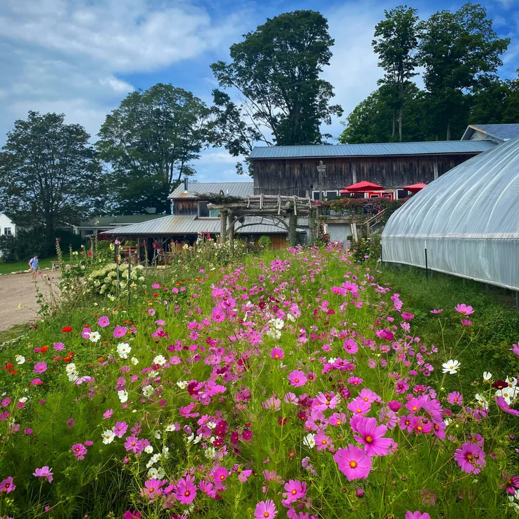 Plan Your Visit to Harbor Springs, MI - Pond Hill Farm