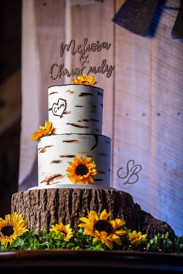 Wedding Cakes — The Baking Point NC