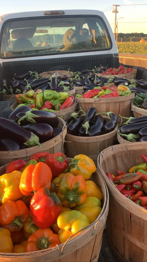 Lenny Bruno Farms | 4th Generation Vegetable Farm on Long Island