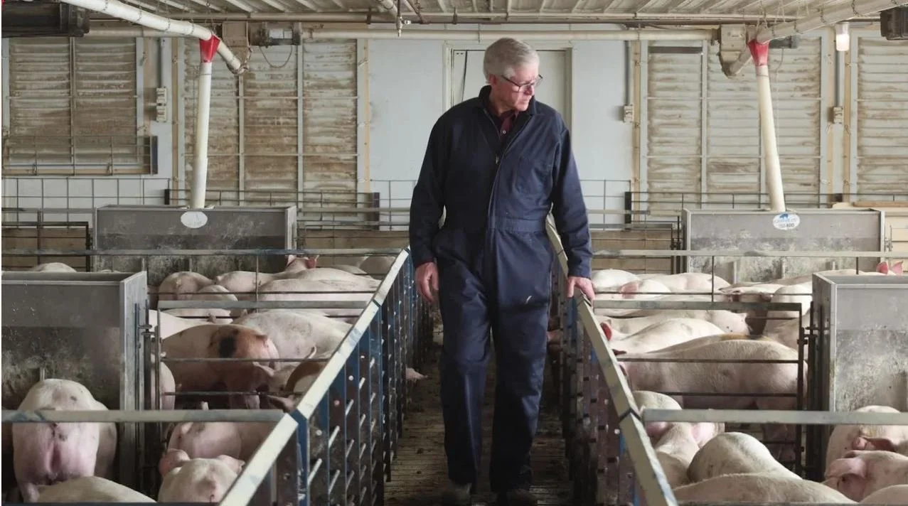 Producer — Indiana Pork
