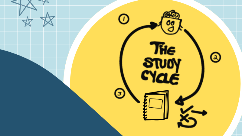 Courses — ANTI-BORING LEARNING LAB