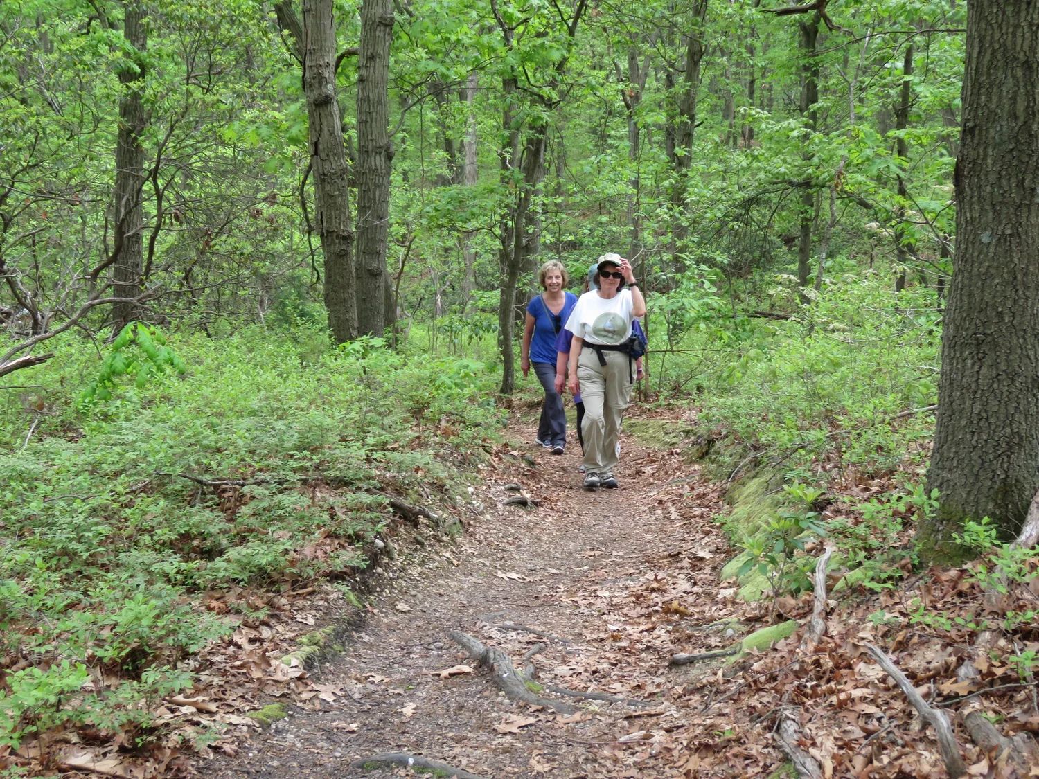 Long Island Hikes — Long Island Greenbelt Trail Conference
