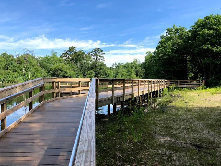 News about Long Island Hiking Trails — Long Island Greenbelt Trail ...