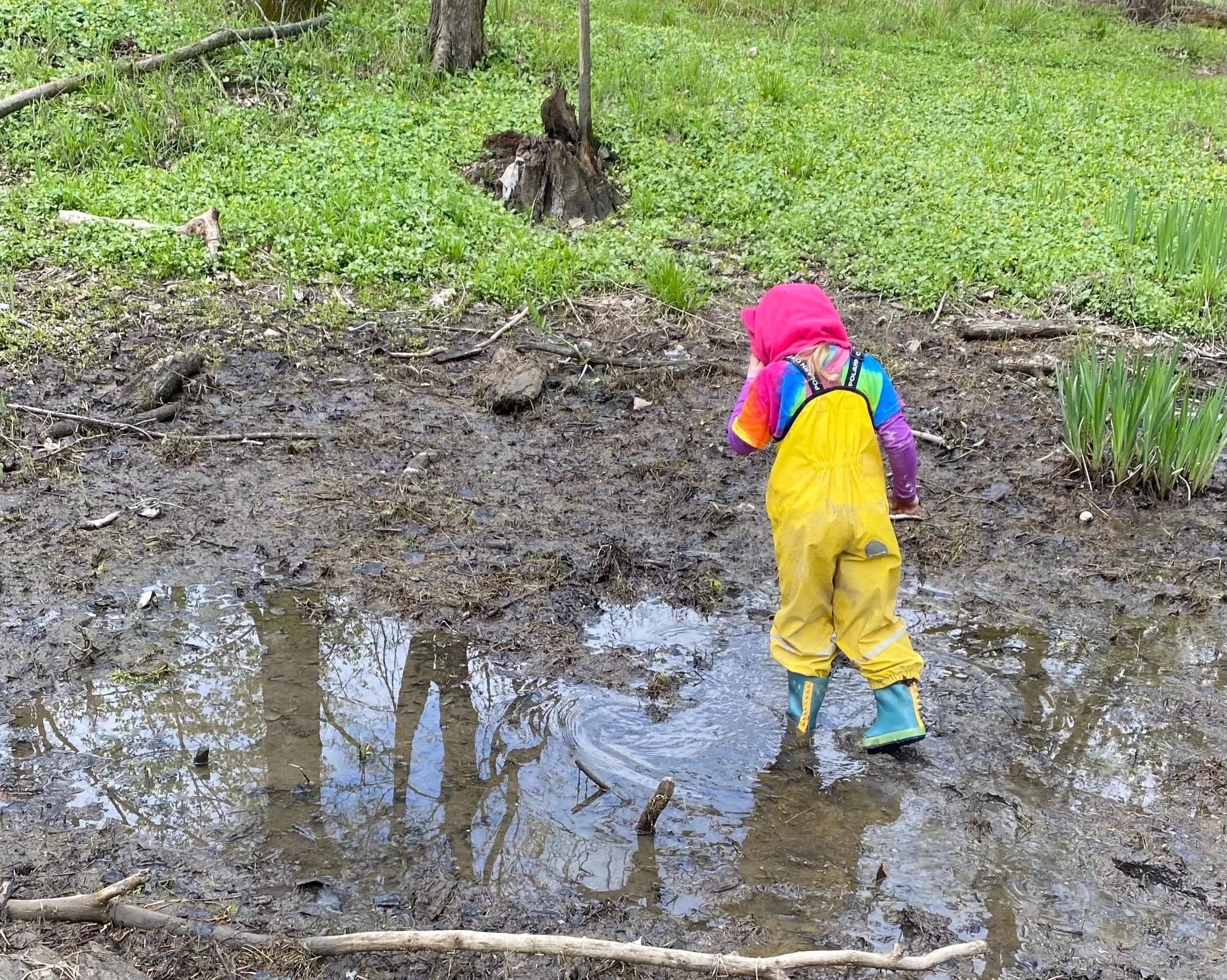 About Us — Wild Onion Play