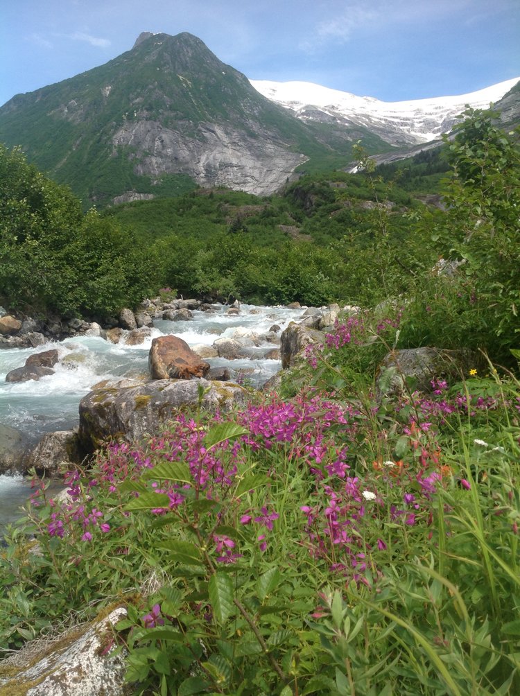 Explore the Stikine River — Travel Wrangell