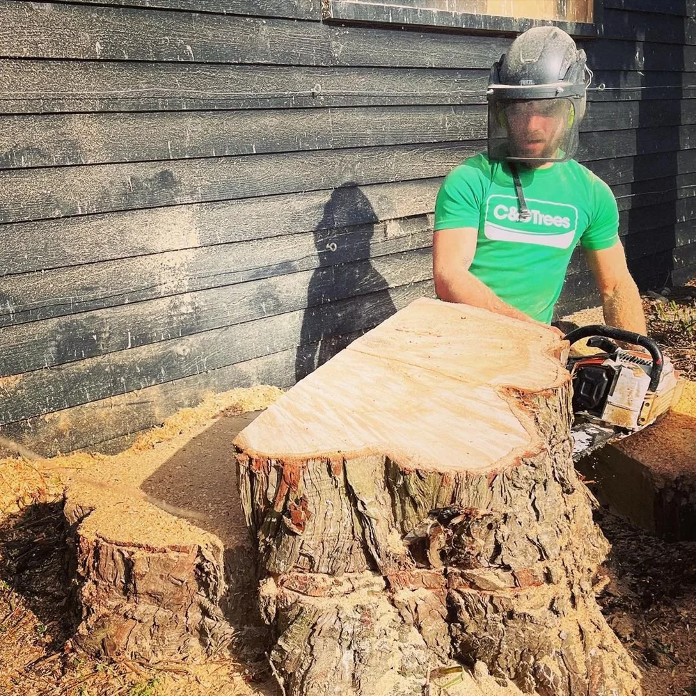 Winchester Based Tree Surgeons, Sparsholt Trained, Arboricultural ...