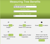 How much carbon does a healthy tree absorb in a day? — C&D Trees