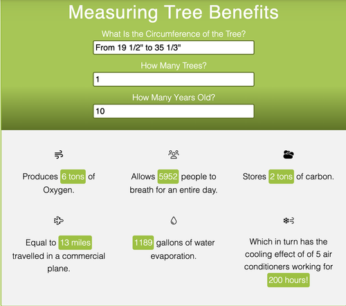 How much carbon does a healthy tree absorb in a day? — C&D Trees
