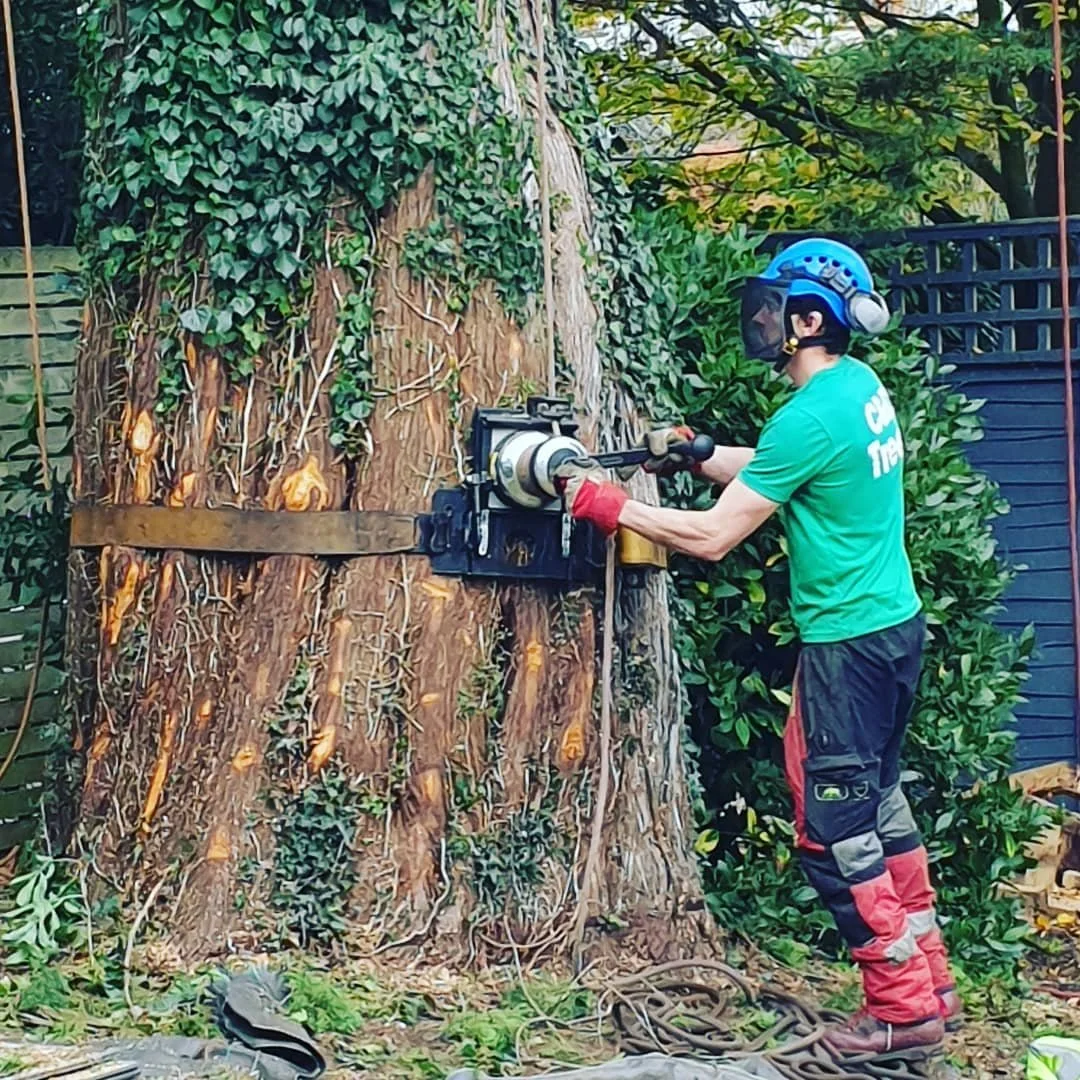 Winchester Based Tree Surgeons, Sparsholt Trained, Arboricultural ...
