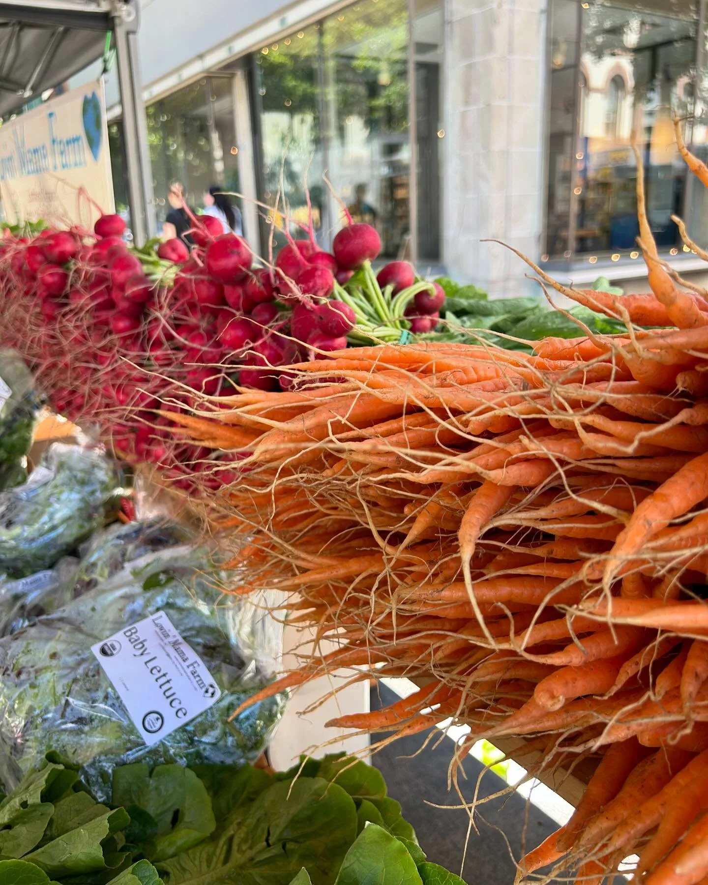 Troy Waterfront Farmers Market