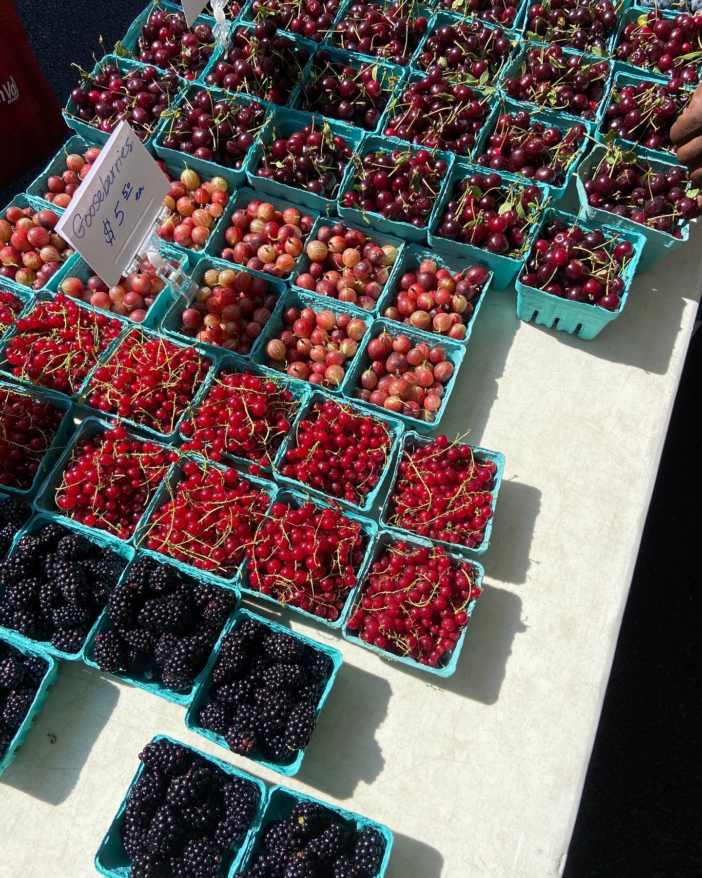 Troy Waterfront Farmers Market