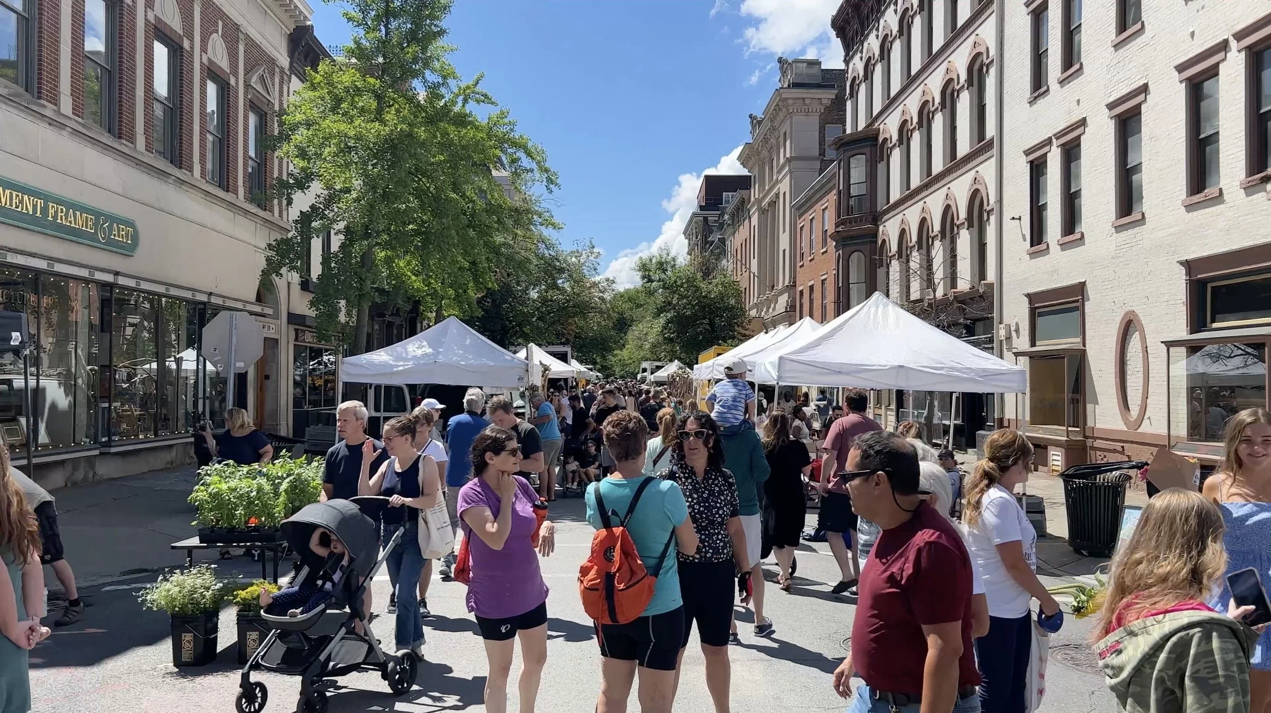 Gallery 3 — Troy Waterfront Farmers Market