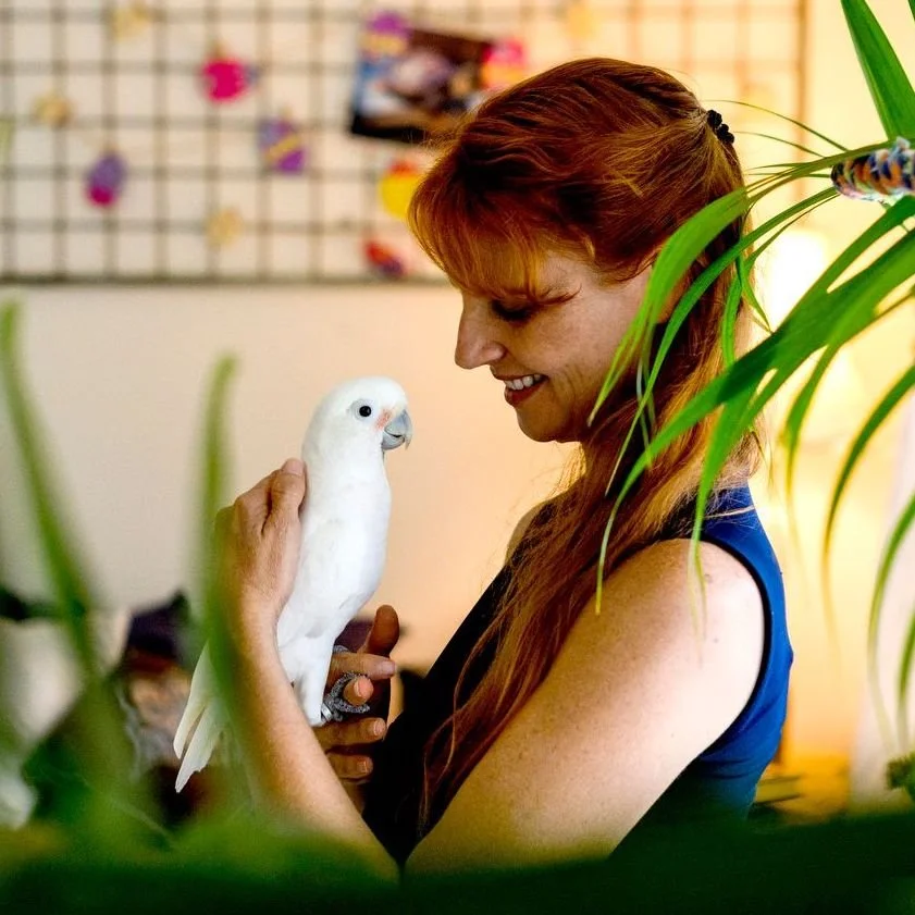 INTERACT Animal Team — INTERACT Animal Lab