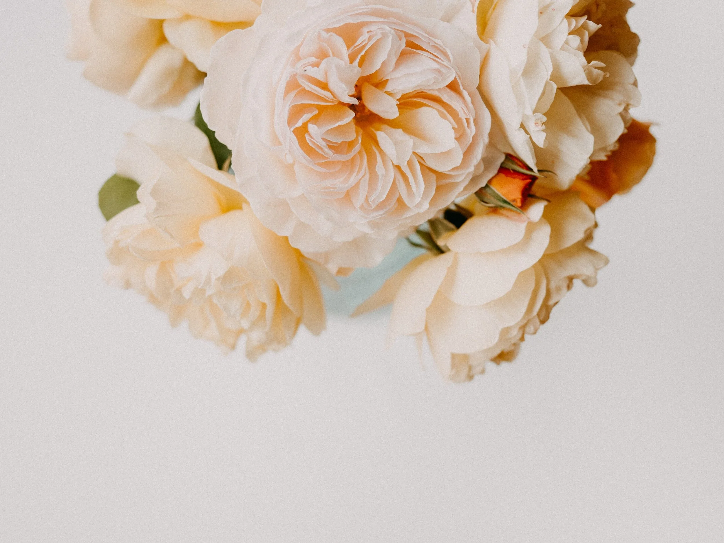 About 2 — Sofia Elkind, MD