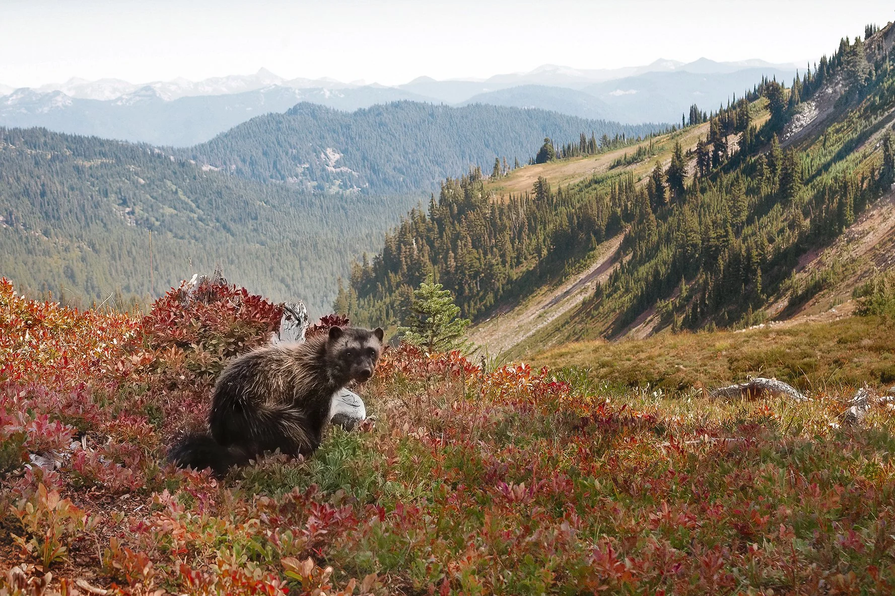 Projects — Gretchen Kay Stuart