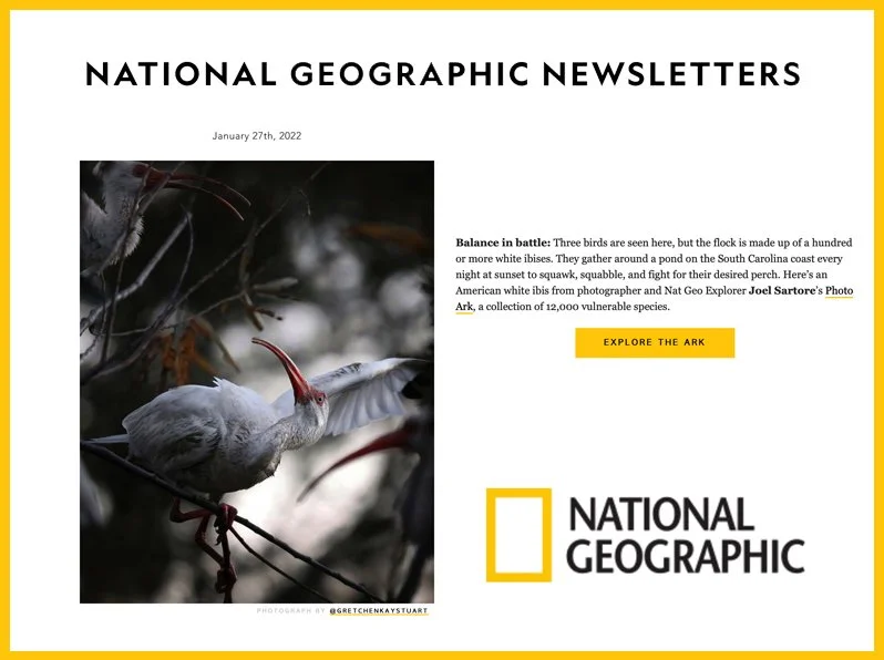 Gallery 1 — Gretchen Kay Stuart