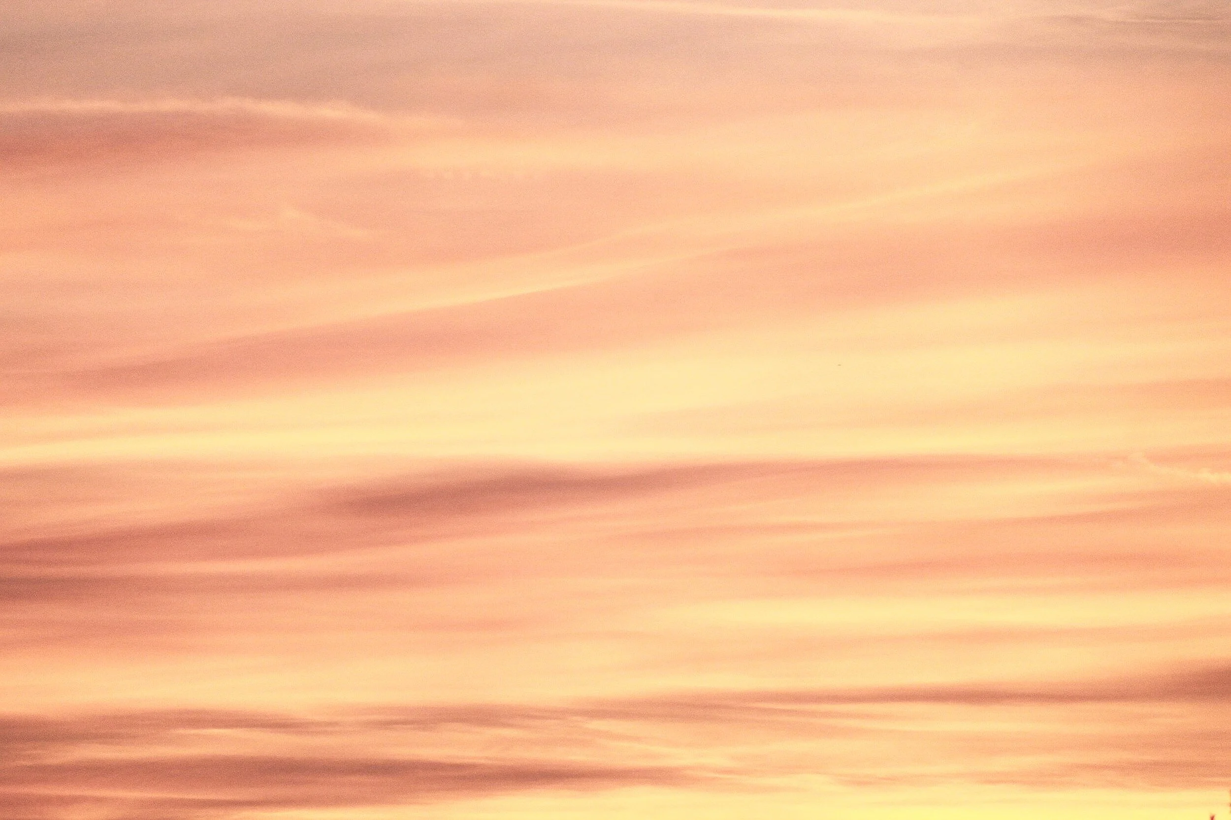 Sunkist Graphics. Affordable quality printing and signage.