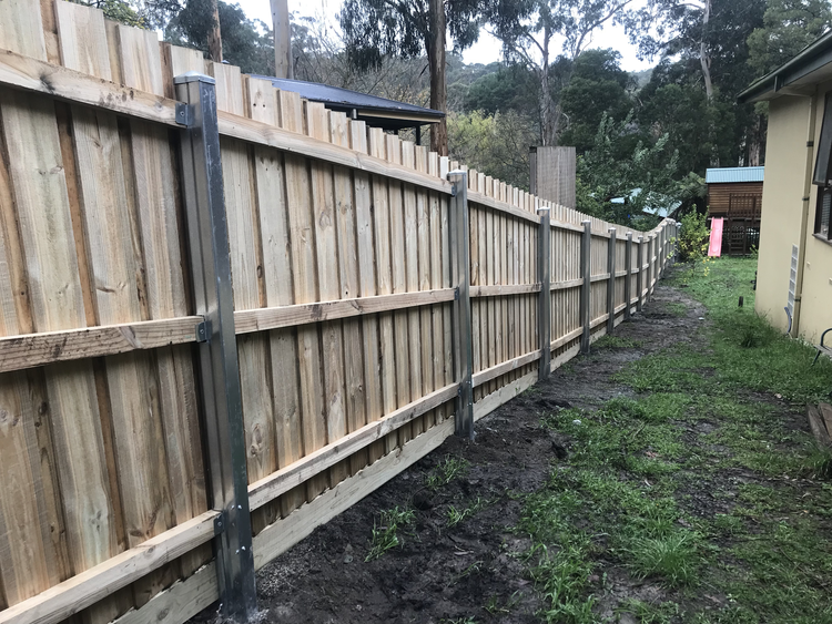 Paling Fences — Phil's Fencing