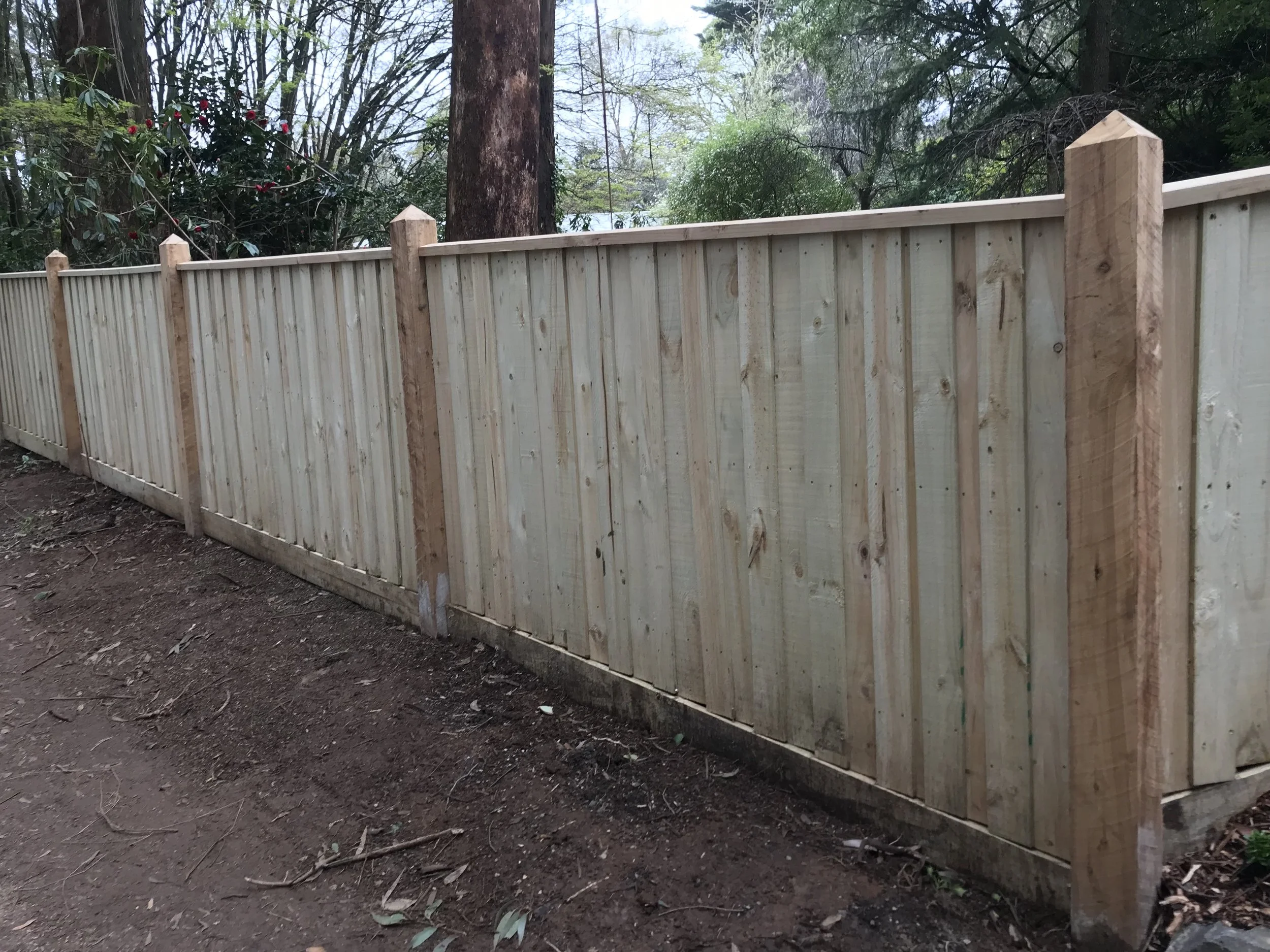 Paling Fences — Phil's Fencing