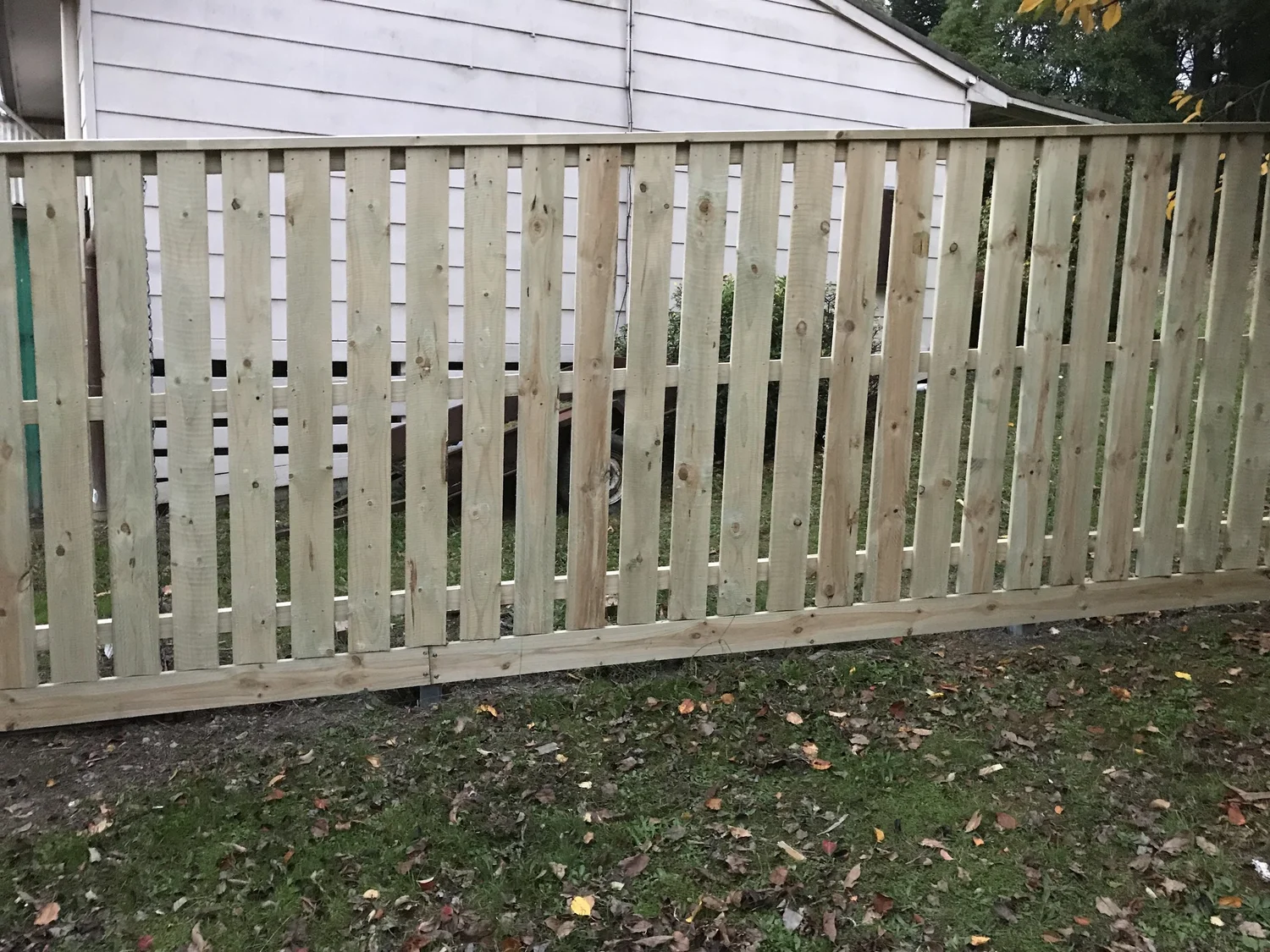 Paling Fences — Phil's Fencing