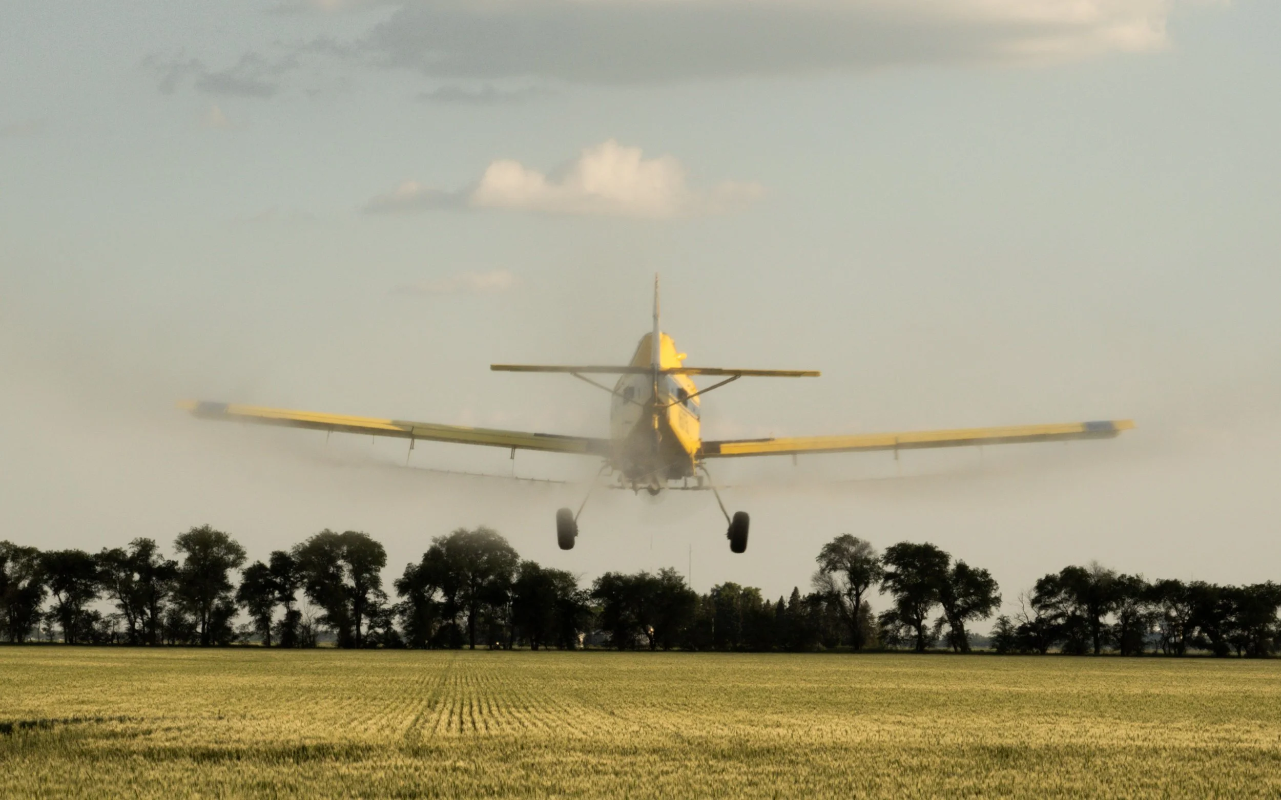 Fly Low Aviation