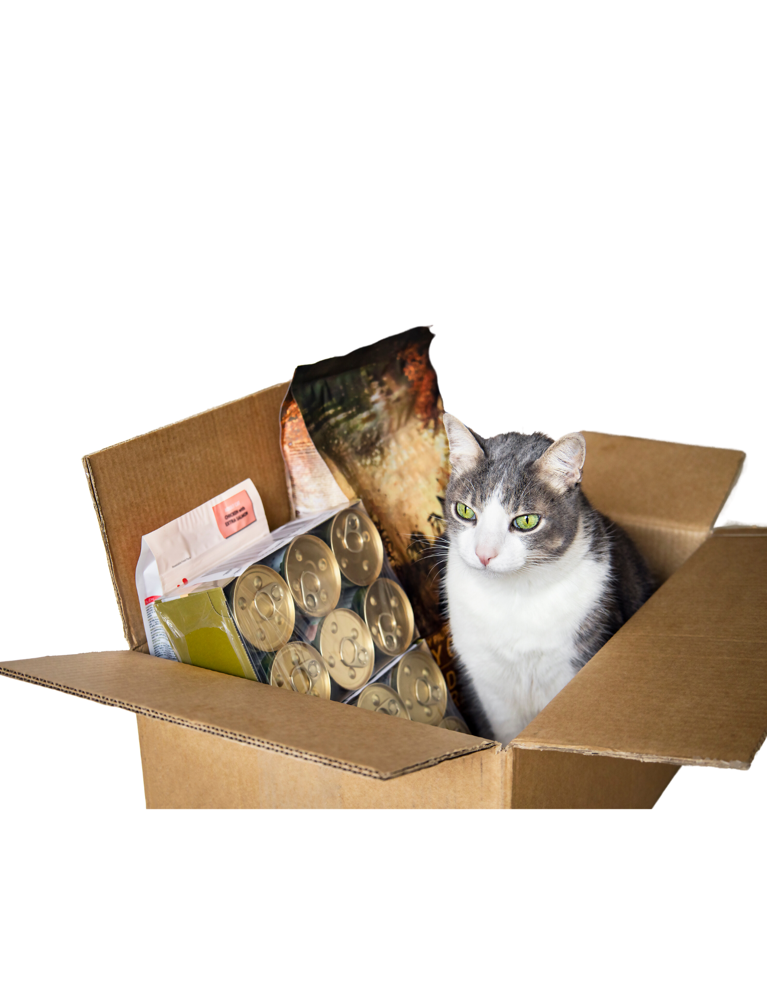 Services — Best Friends for Life