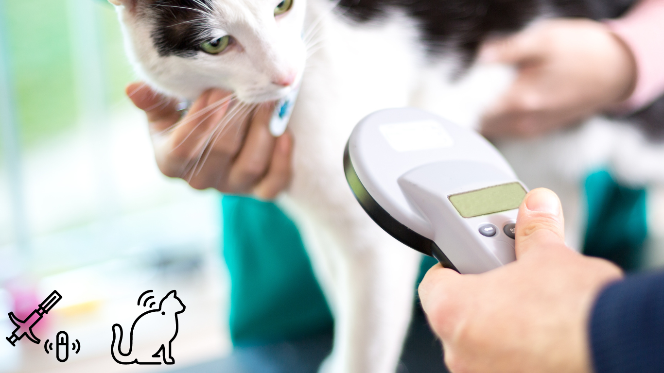 Microchip — Best Friends for Life