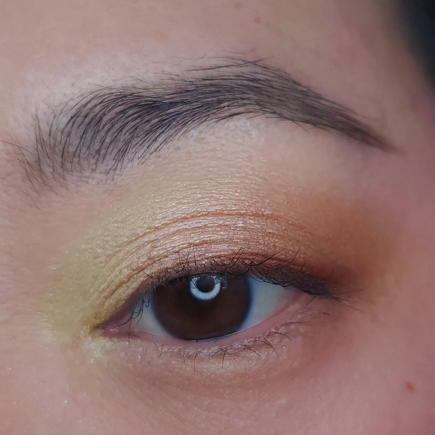 Warm Smokey Orange Eyeshadow Look: The Perfect Makeup Look for Fall ...