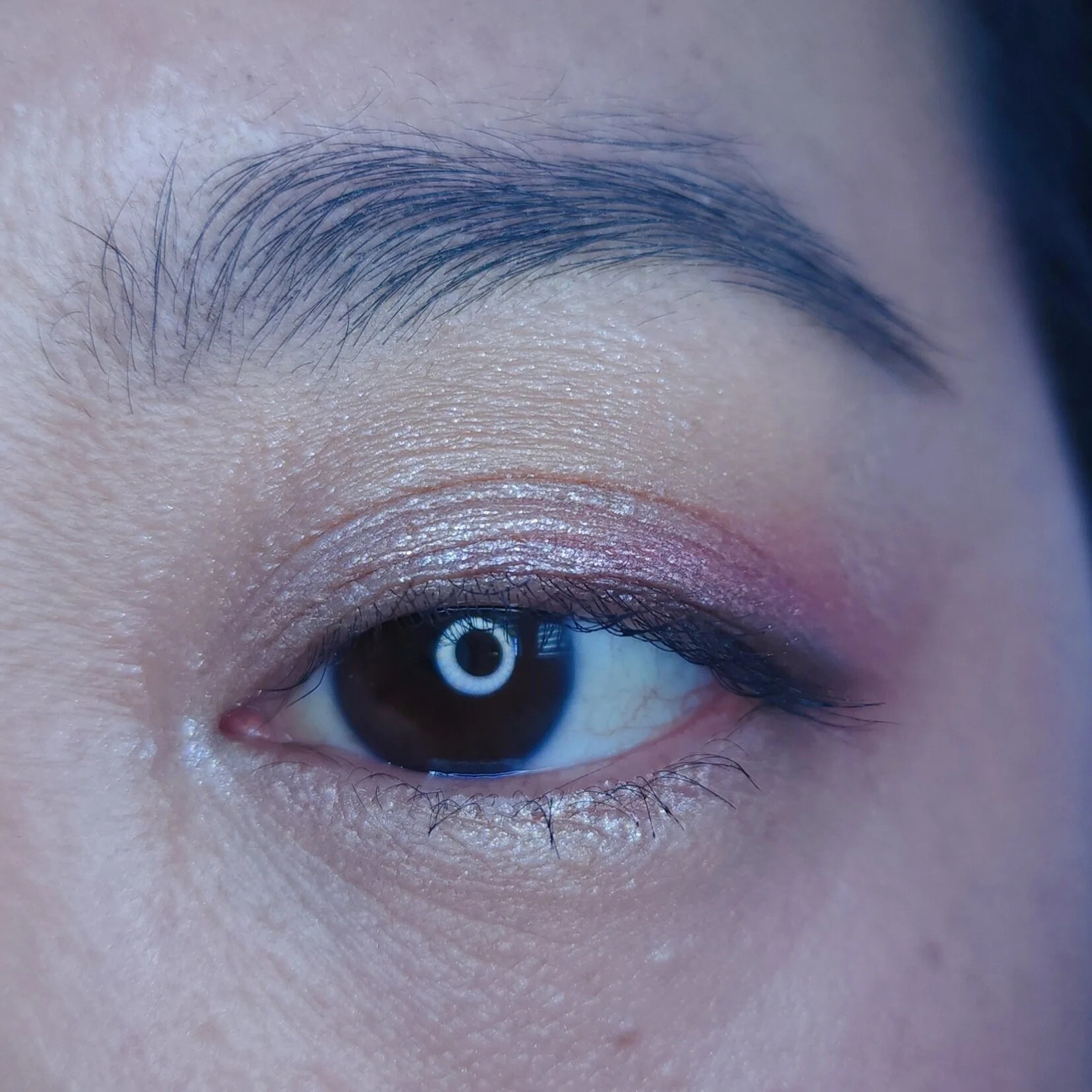 Sparkly Barbie Pink Eyeshadow Look with Give Me Glow Cosmetics and Gogo ...