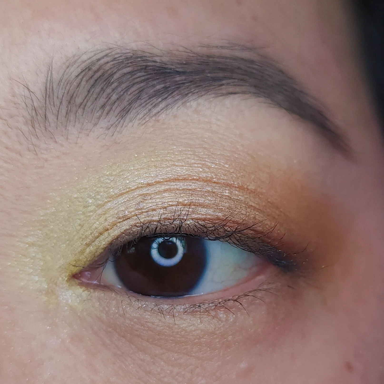 Warm Smokey Orange Eyeshadow Look: The Perfect Makeup Look for Fall ...