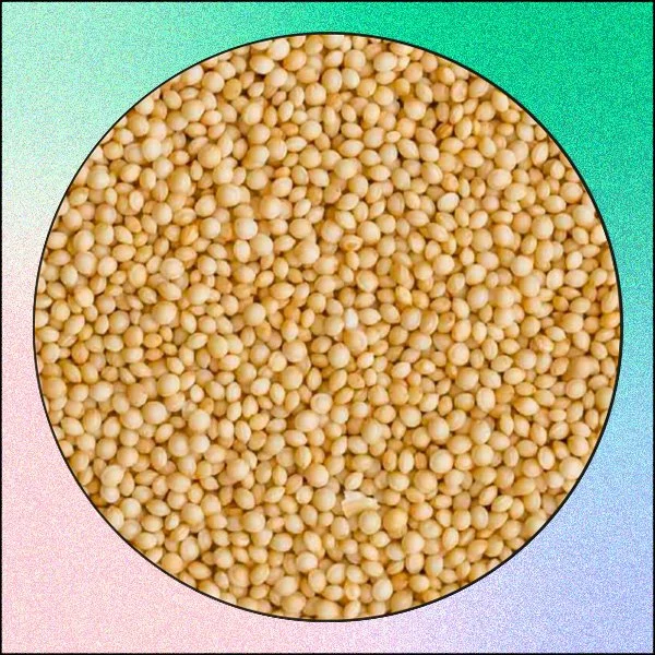 Complete Protein — Kenia de los Campos