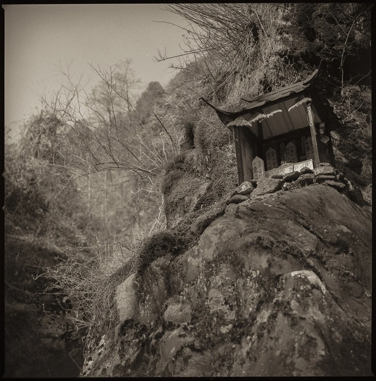 China and Tibet — DOUGLAS BEASLEY