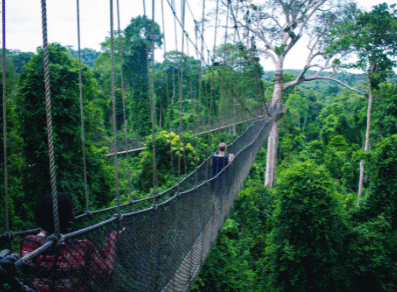 14 Best Ecotourism Activities to Try in 2024 — Slowmad Central