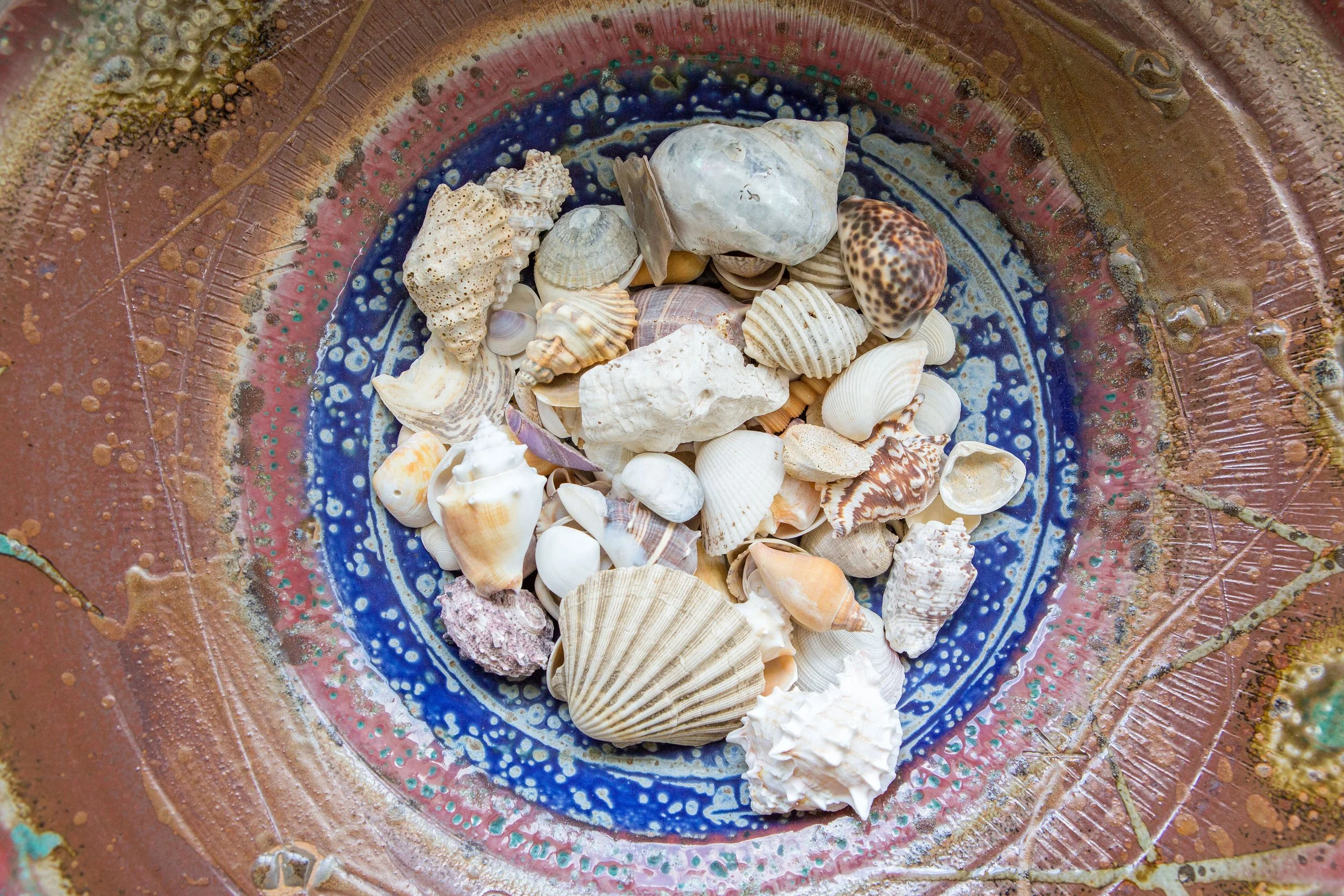 Mediation — Julie Arias Young