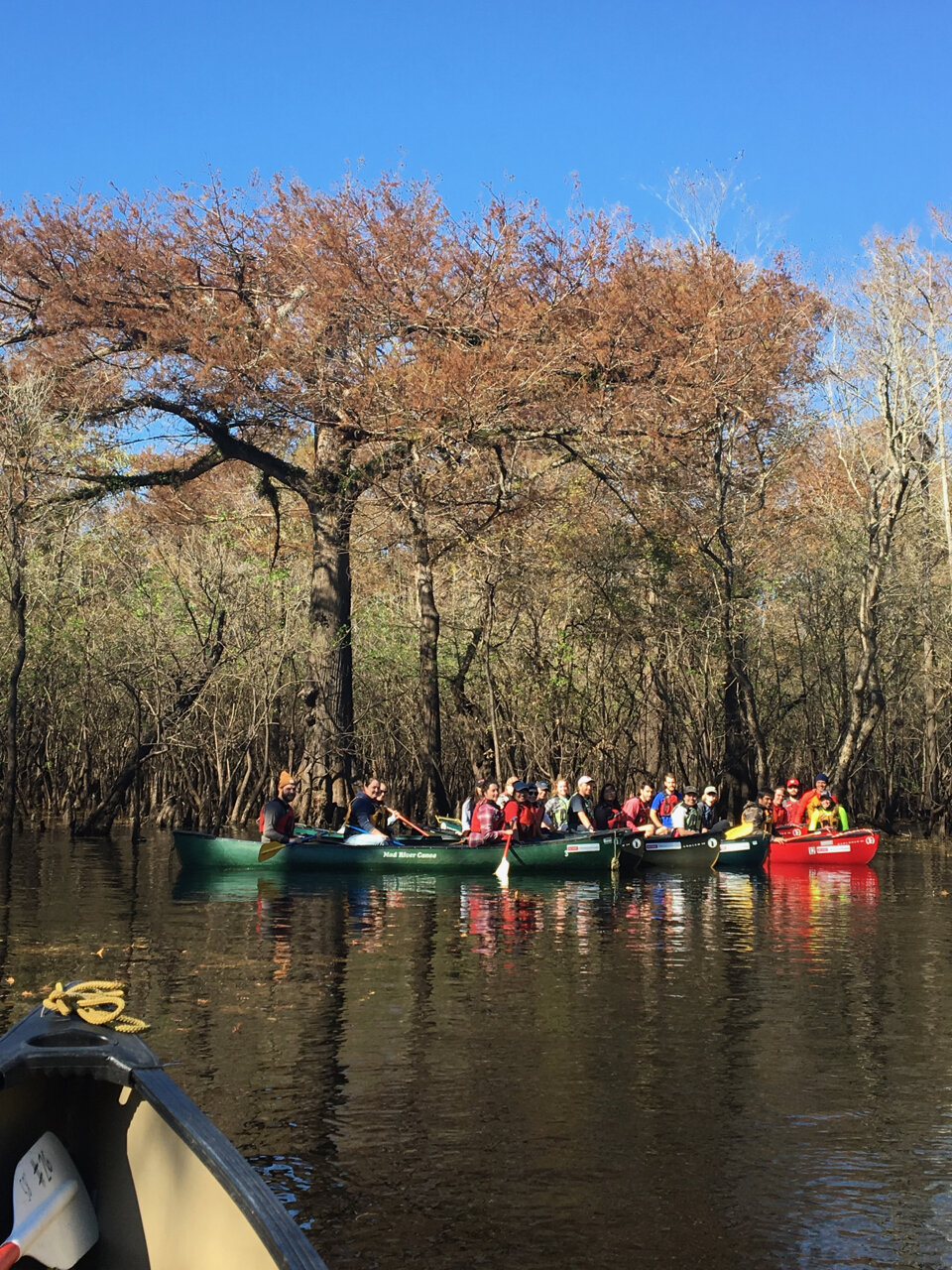 Ryan E. Emanuel, Ph.D.