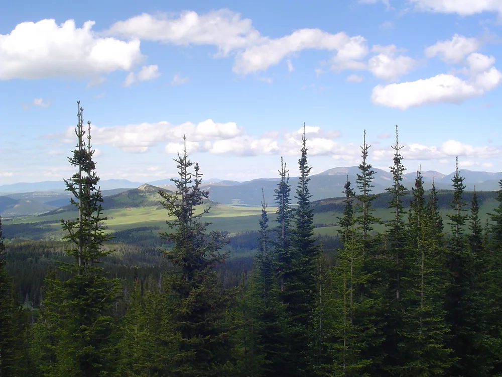 Ecohydrology | Watershed Science — Ryan E. Emanuel, Ph.D.