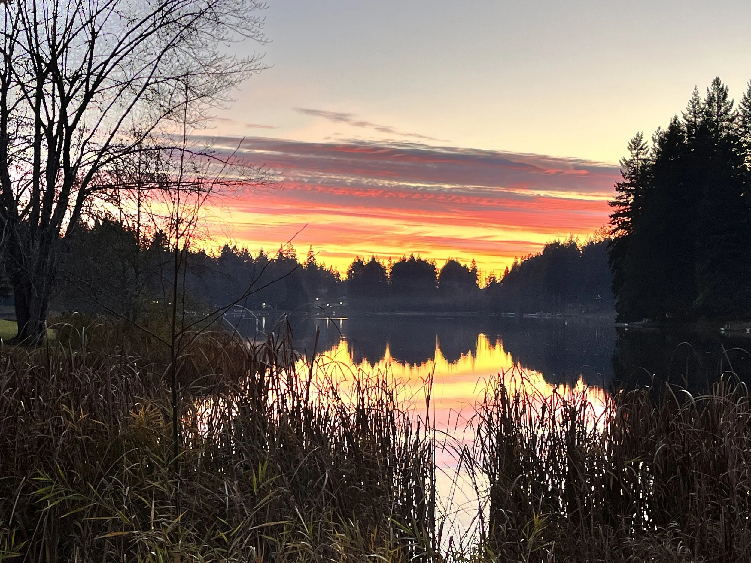 Community Photos — How to Navigate TimberlakeCC.com